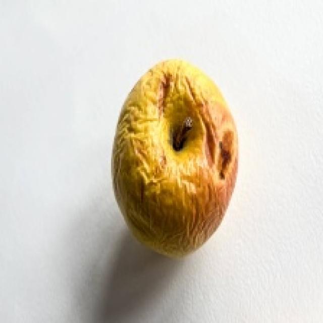 apple Object Detection Dataset by kmutt