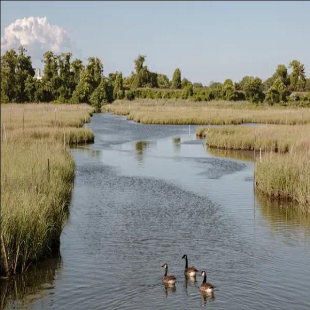 Floating Object Detection Model By Aswathy