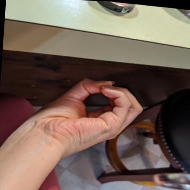 asl Object Detection Dataset and Pre-Trained Model by asl