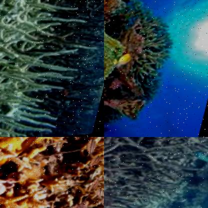 coral Object Detection Dataset by game