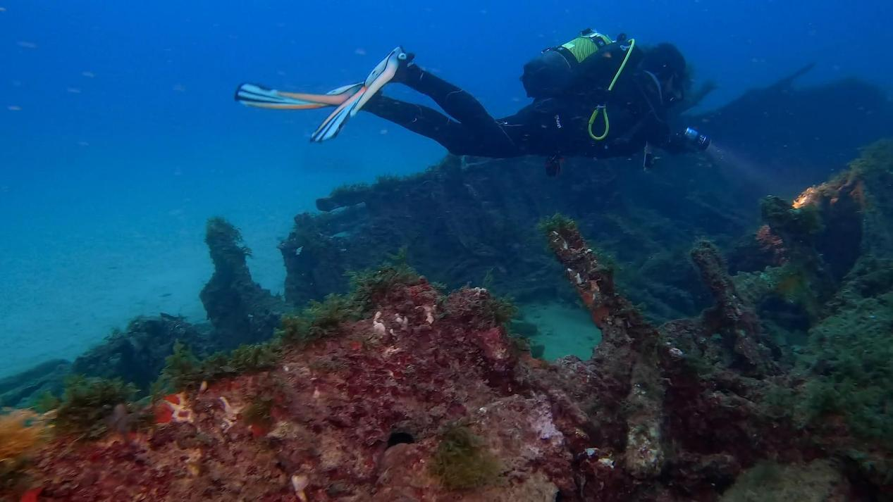 The Object Detection For Diver Object Detection Dataset V1 2024 04 19 9 21am By Diver