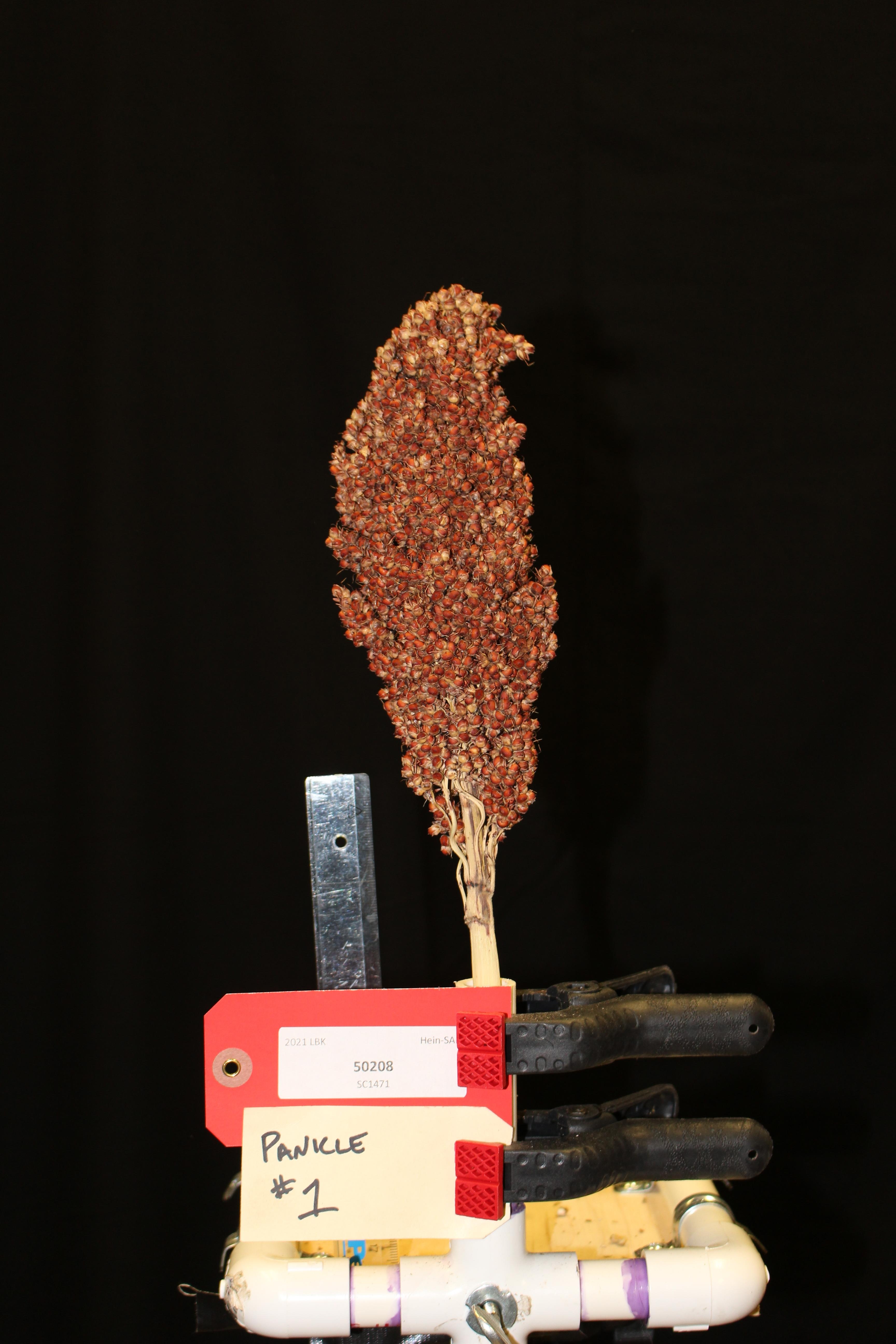 josef_all_emma Object Detection Dataset by Kansas State University