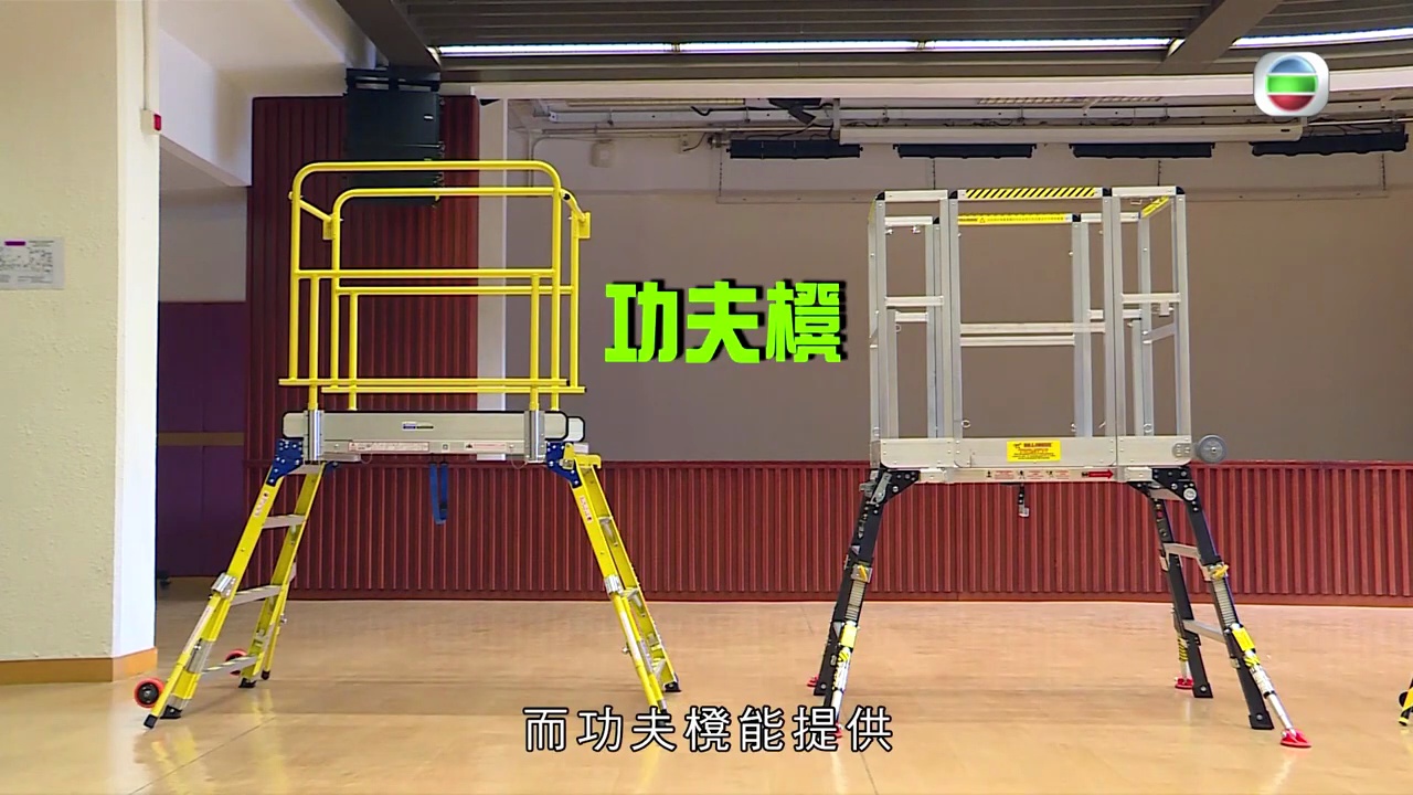 fyp ladder platform Object Detection Dataset and Pre-Trained Model by ffffyp