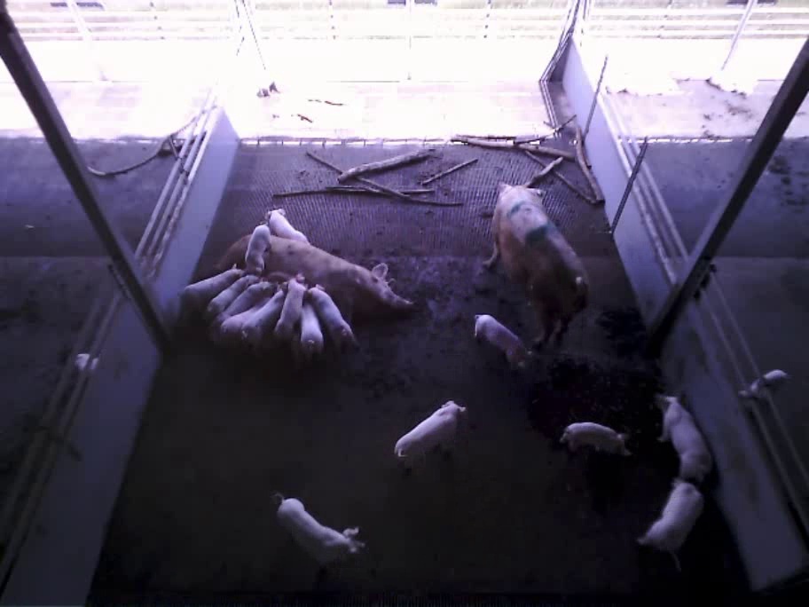 RGB pen 12 (number) Object Detection Dataset by pig toilet