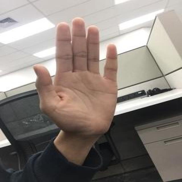 Hand Detection Object Detection Dataset and Pre-Trained Model by 111