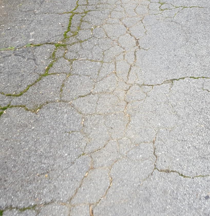 Roads3 Object Detection Dataset And Pre Trained Model By Surveying Roads