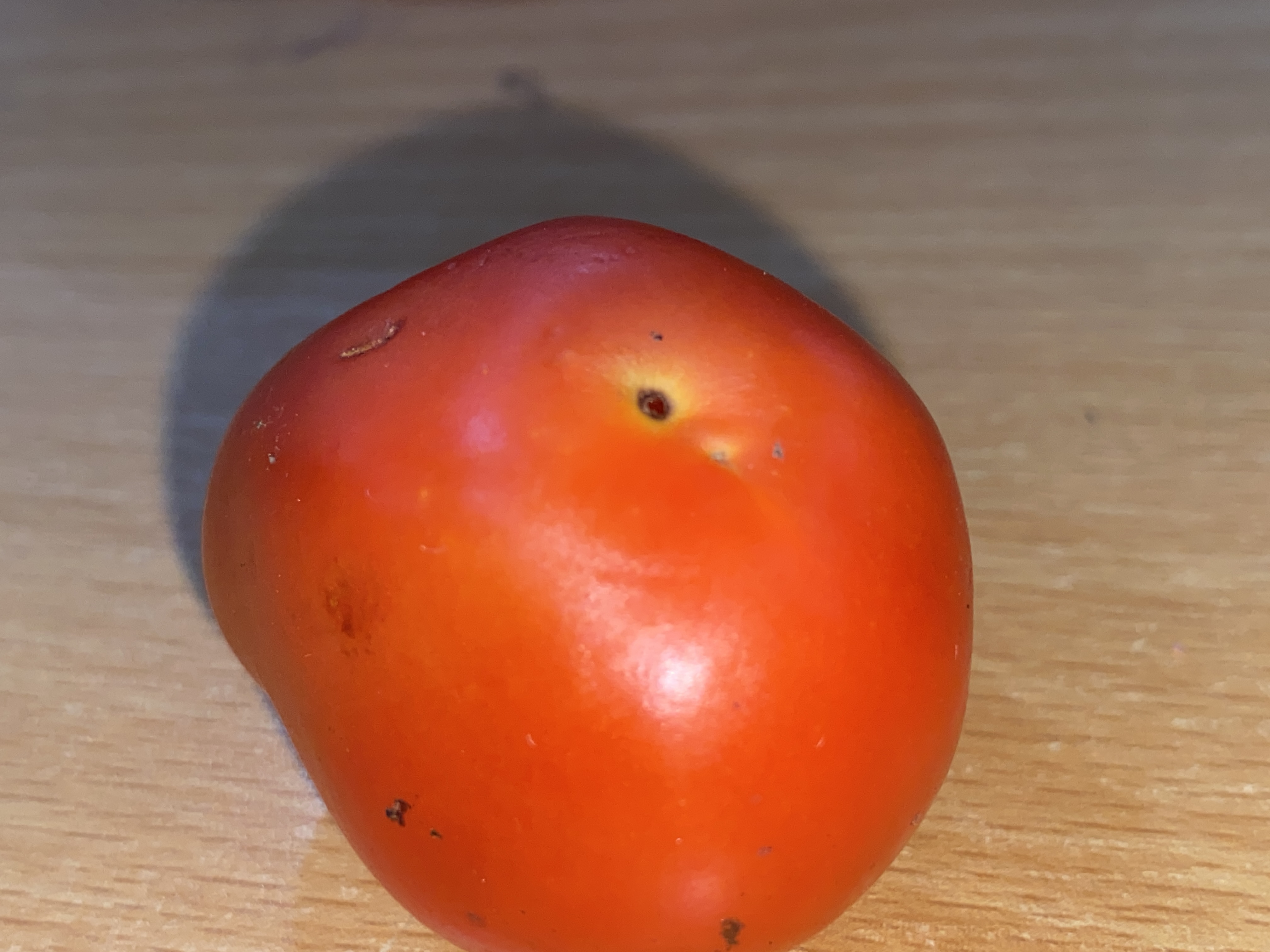 Tomato Early Disease Detection 2 (PRa) Object Detection Dataset by tomato disease