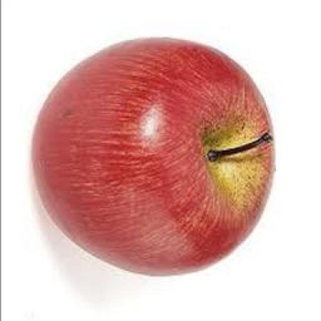 objectdatas Object Detection Dataset by Apple Defect