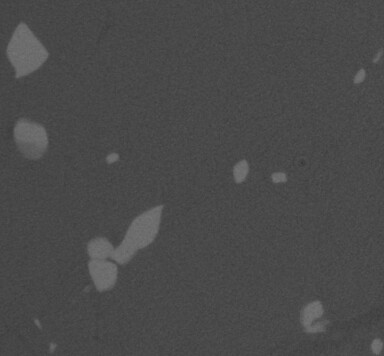 yolov11-segmentation Instance Segmentation Model by test1