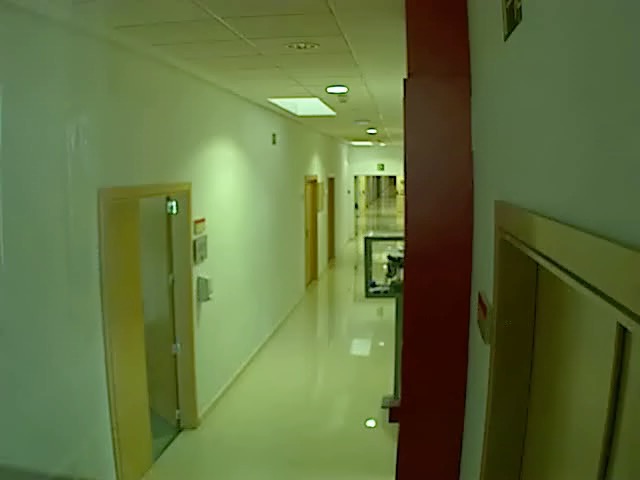 Video Data Object Detection Dataset By Gun Detection