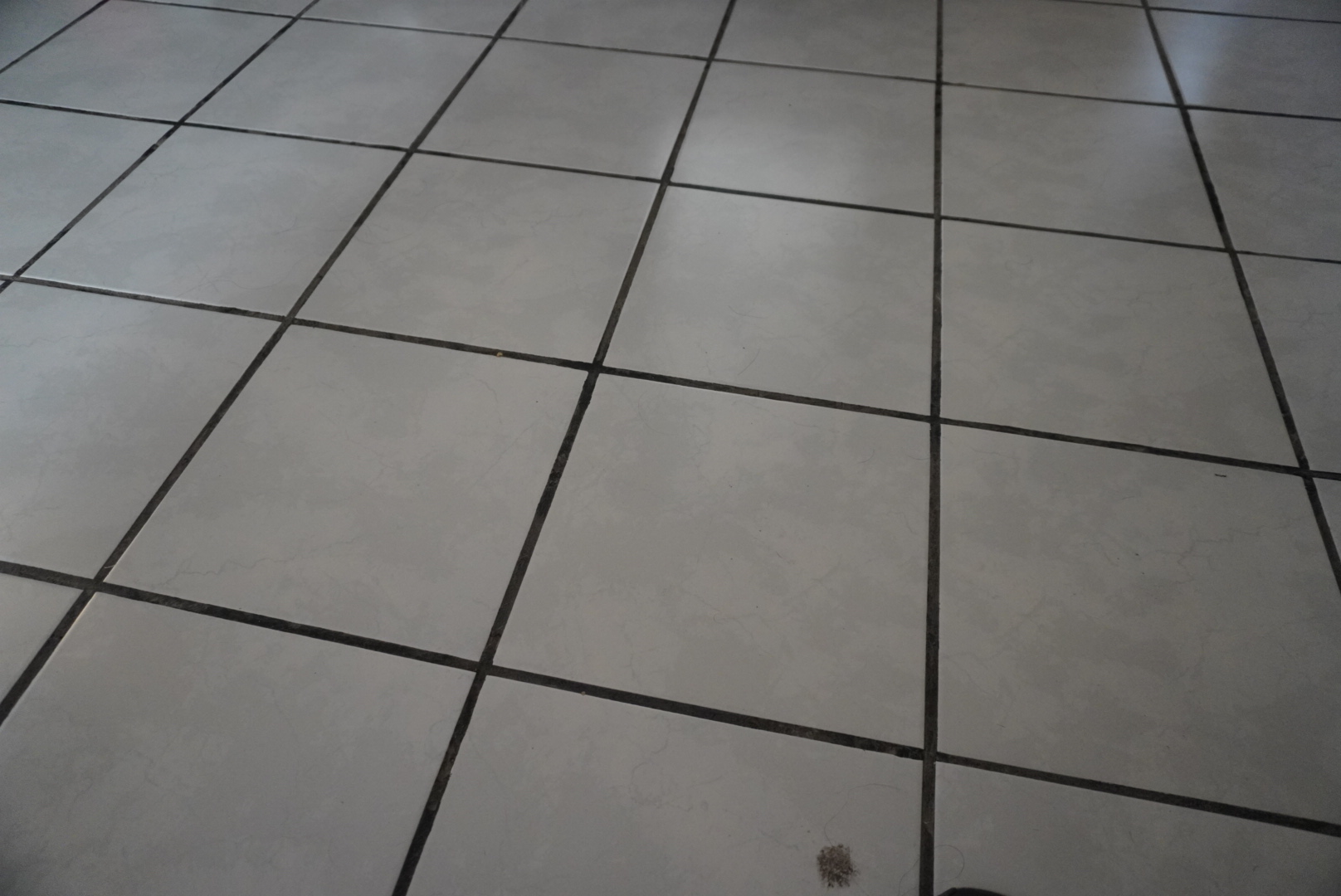 CUADRICULA-YOLOV8 Object Detection Dataset and Pre-Trained Model by DEEPLEARNING