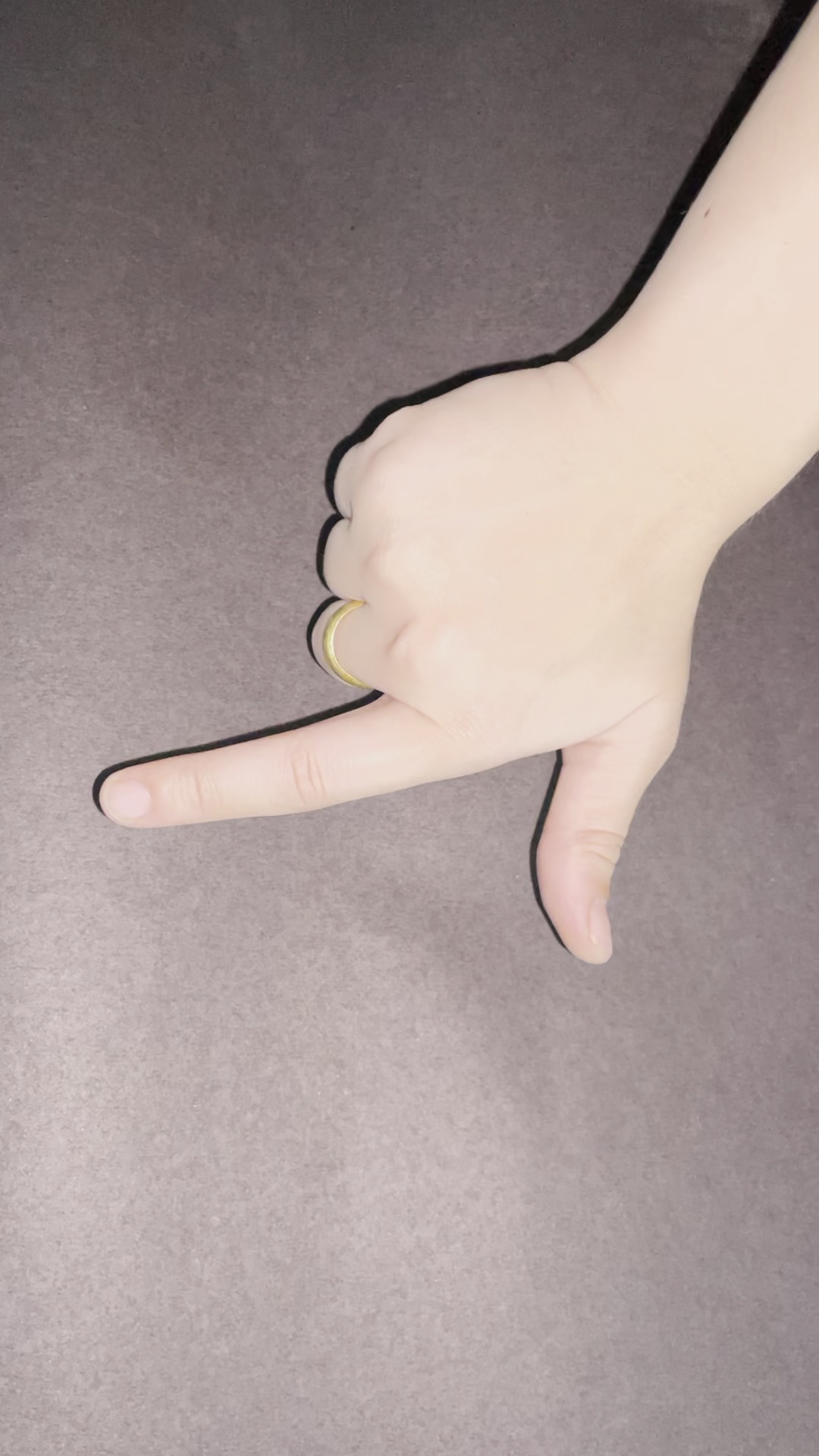 Sign Detection II Object Detection Dataset and Pre-Trained Model by Sikkim Manipal Institute of ...