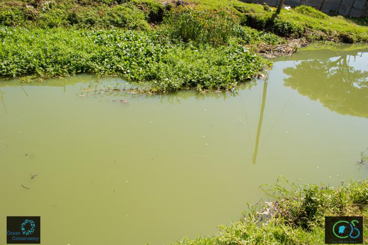 Plastic Garbage Object Detection Dataset and Pre-Trained Model by ...