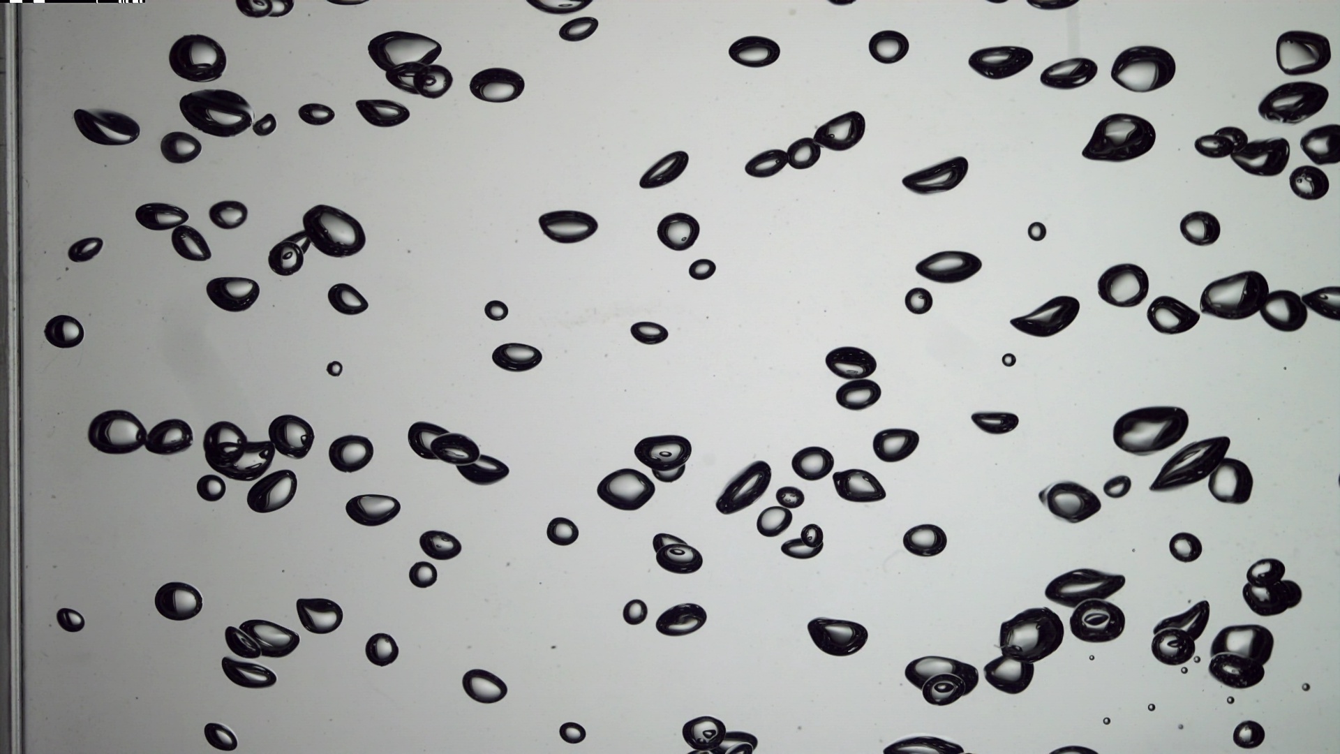 bubbly 2 Object Detection Model by bubbly