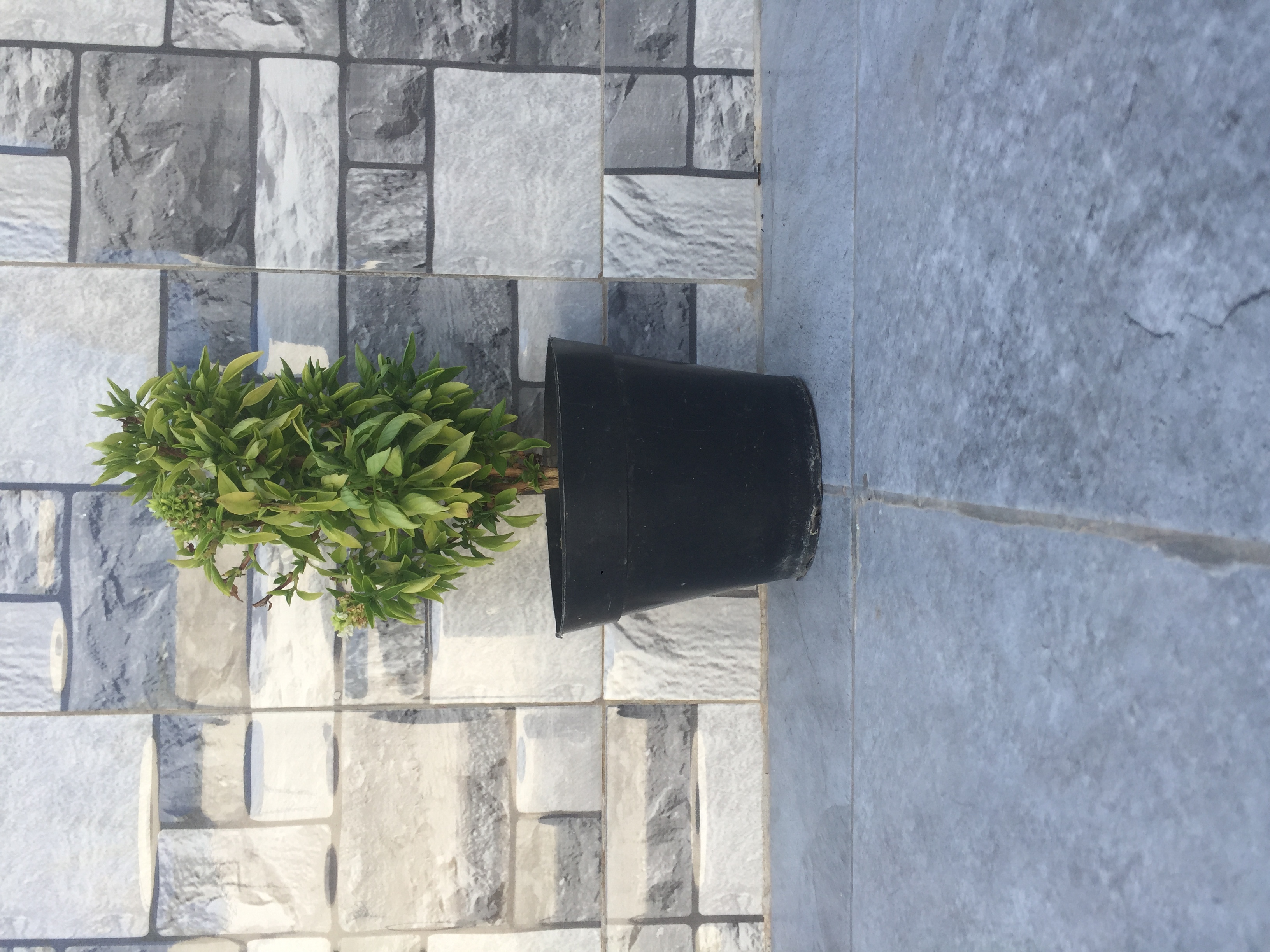 kiet mai - Roboflow Universe