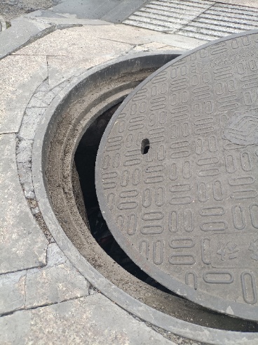 manhole Object Detection Dataset by test