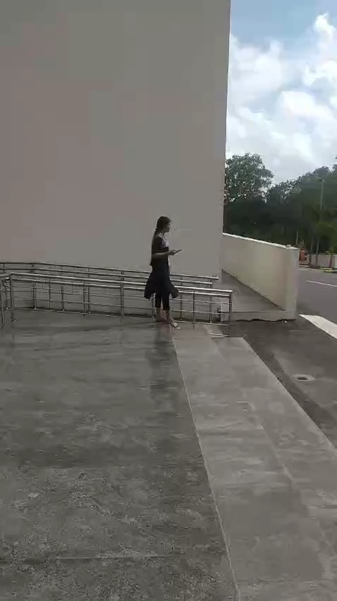 outdoor labeling Object Detection Dataset and Pre-Trained Model by Abiraj R