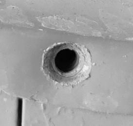 Skin Defect Object Detection Model by Dean Ockenden