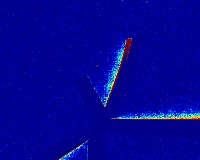 Top Flock Datasets and Models | Roboflow Universe