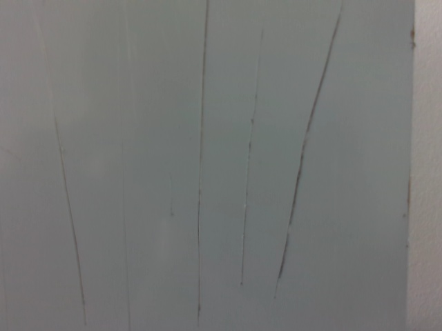 detector-scratches Object Detection Dataset and Pre-Trained Model by cristiano1970