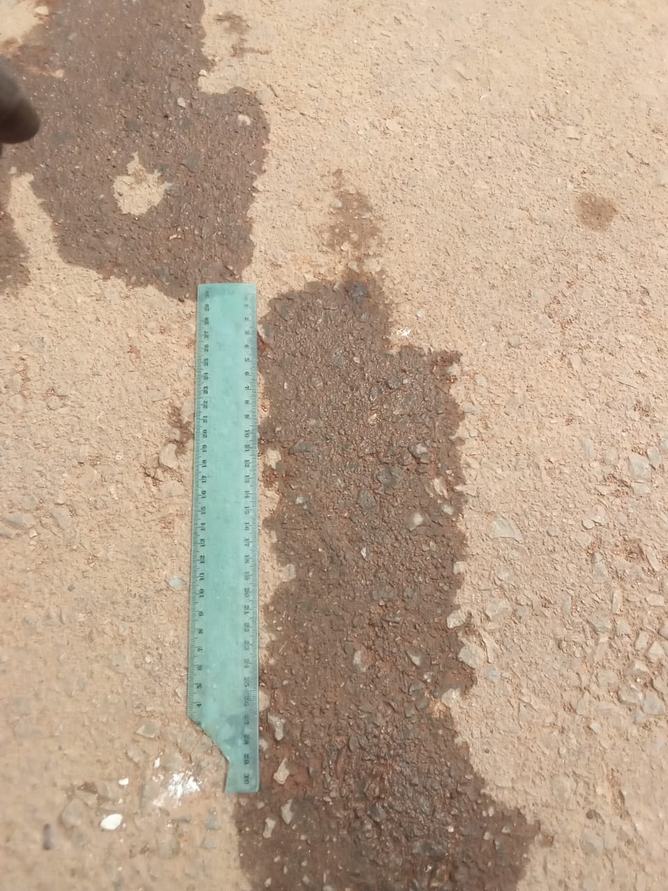 DWBAC Instance Segmentation Dataset and Pre-Trained Model by CODE IA INSIGHTS