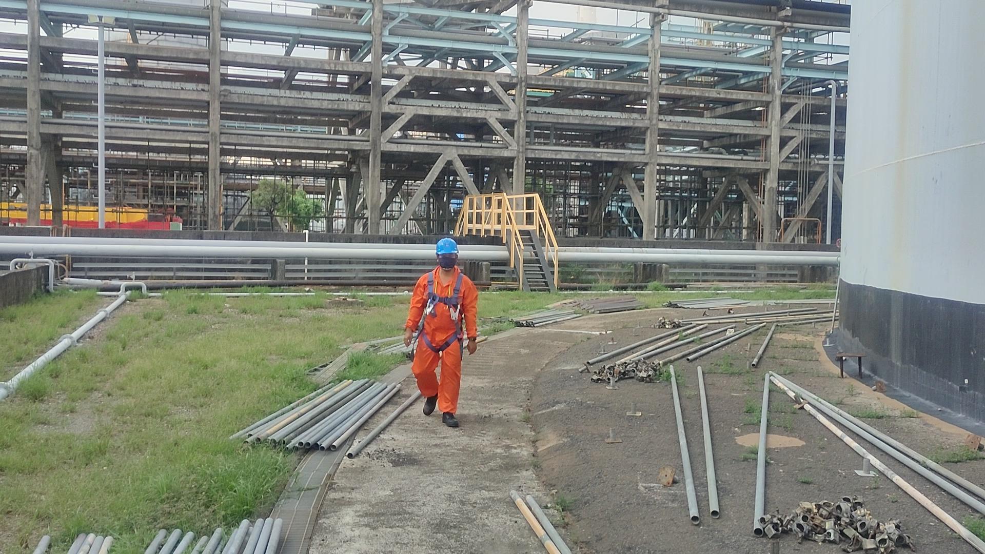 sususu Instance Segmentation Dataset by test77