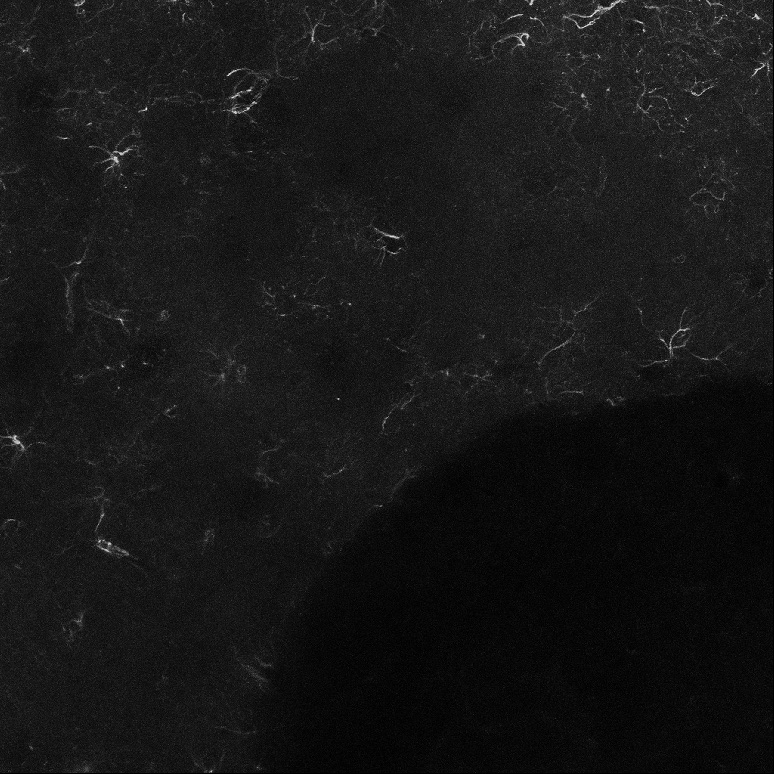 DrK_original_segment Instance Segmentation Dataset by University of Houston