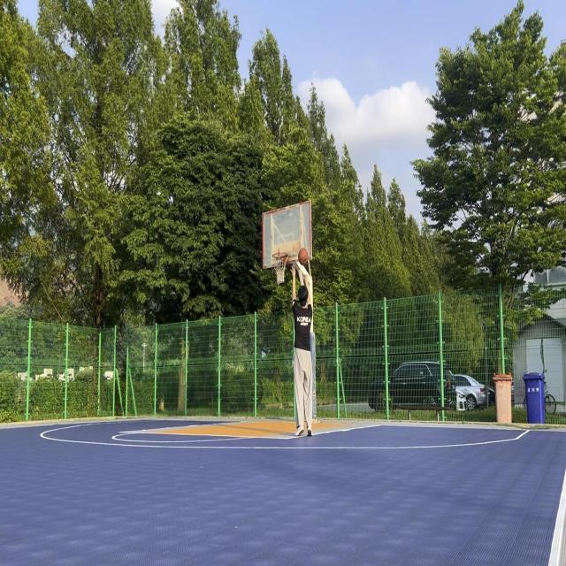 BasketBall Object Detection Dataset by MathieuLec