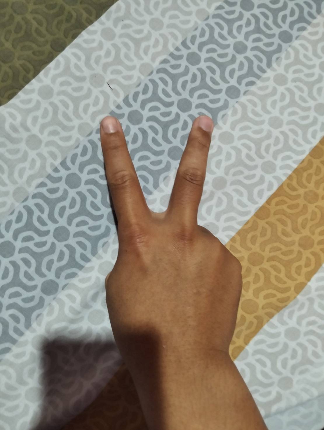 rock scissors paper Object Detection Model by borapat