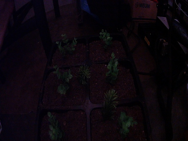 FYP Object Detection Dataset by FYPjq