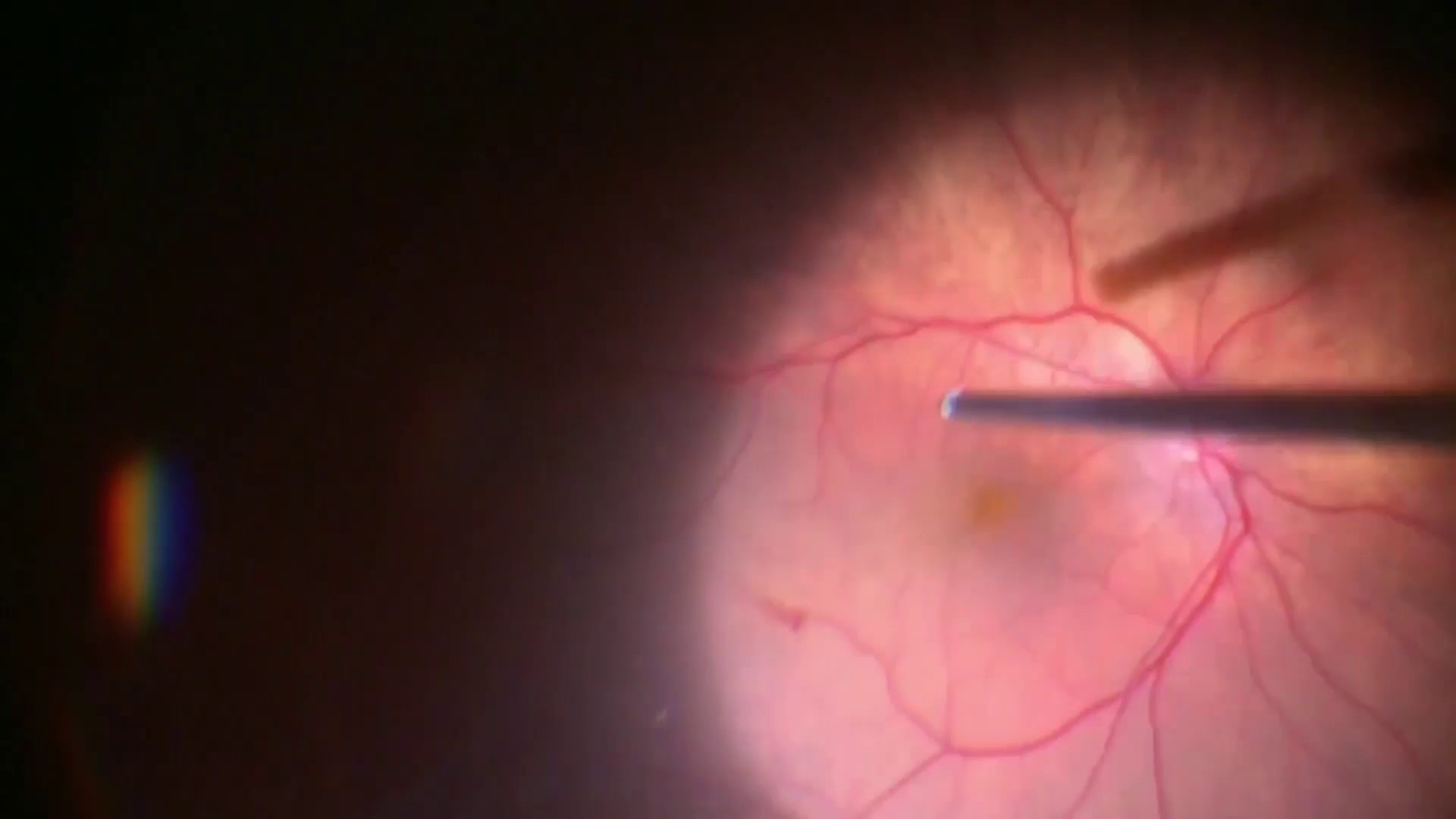 Tools Instance Segmentation Dataset and Pre-Trained Model by BartSpace