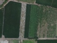 field Instance Segmentation Dataset by field