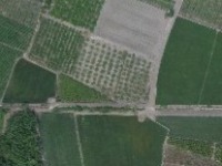 field Instance Segmentation Dataset by field