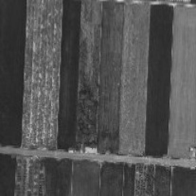 field_11 Instance Segmentation Dataset by field