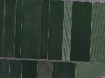 field_2 Instance Segmentation Dataset by field