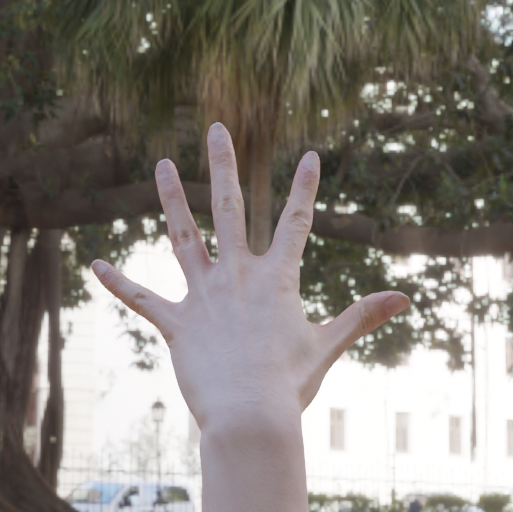 OD-Sign-Language-Numbers Object Detection Dataset by Cj Santos