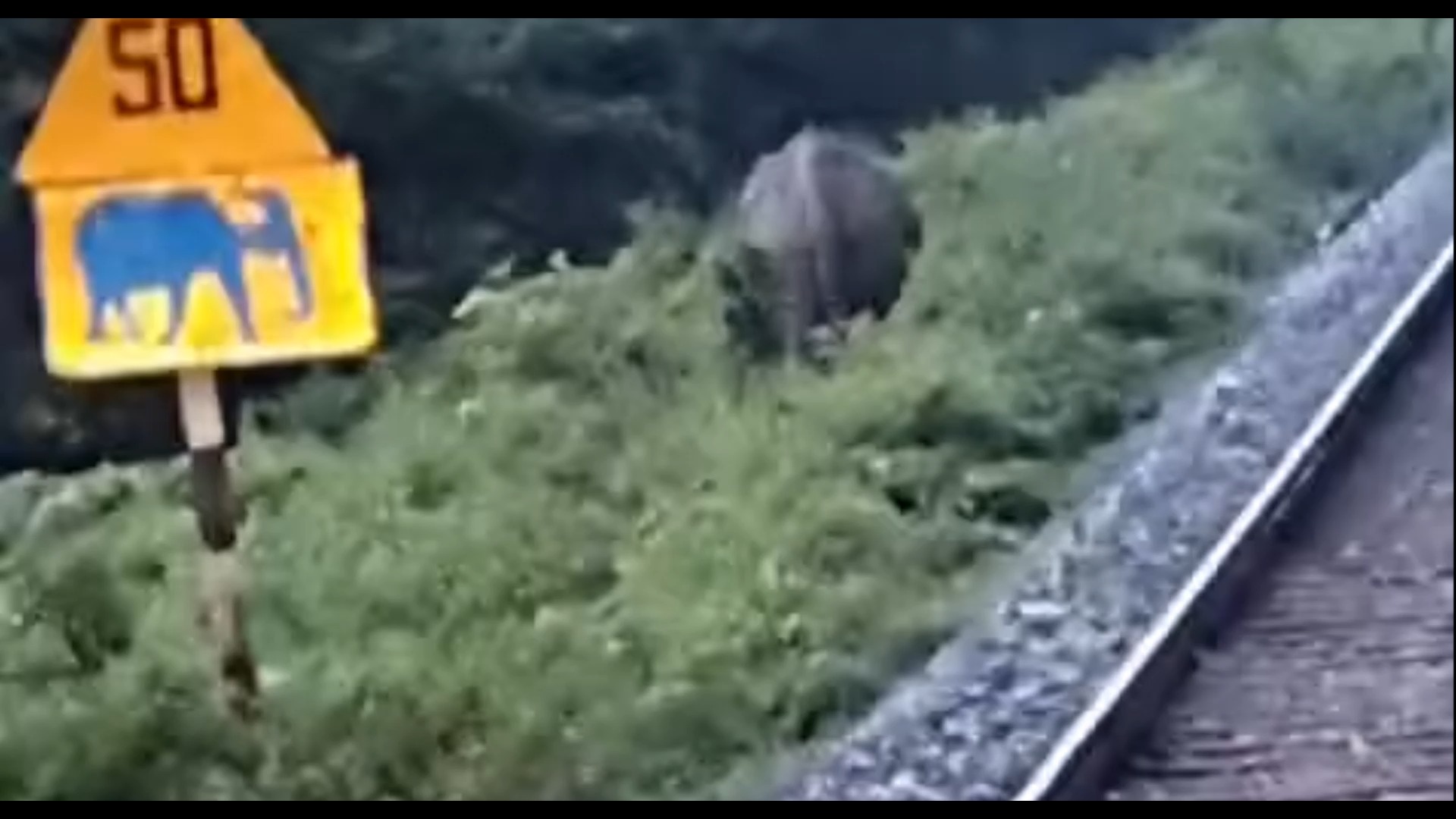 pose Keypoint Detection Dataset by background detection