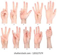 Sign Language Numbers Object Detection Model by ghazy