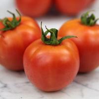 Salad Dataset - Roboflow Universe