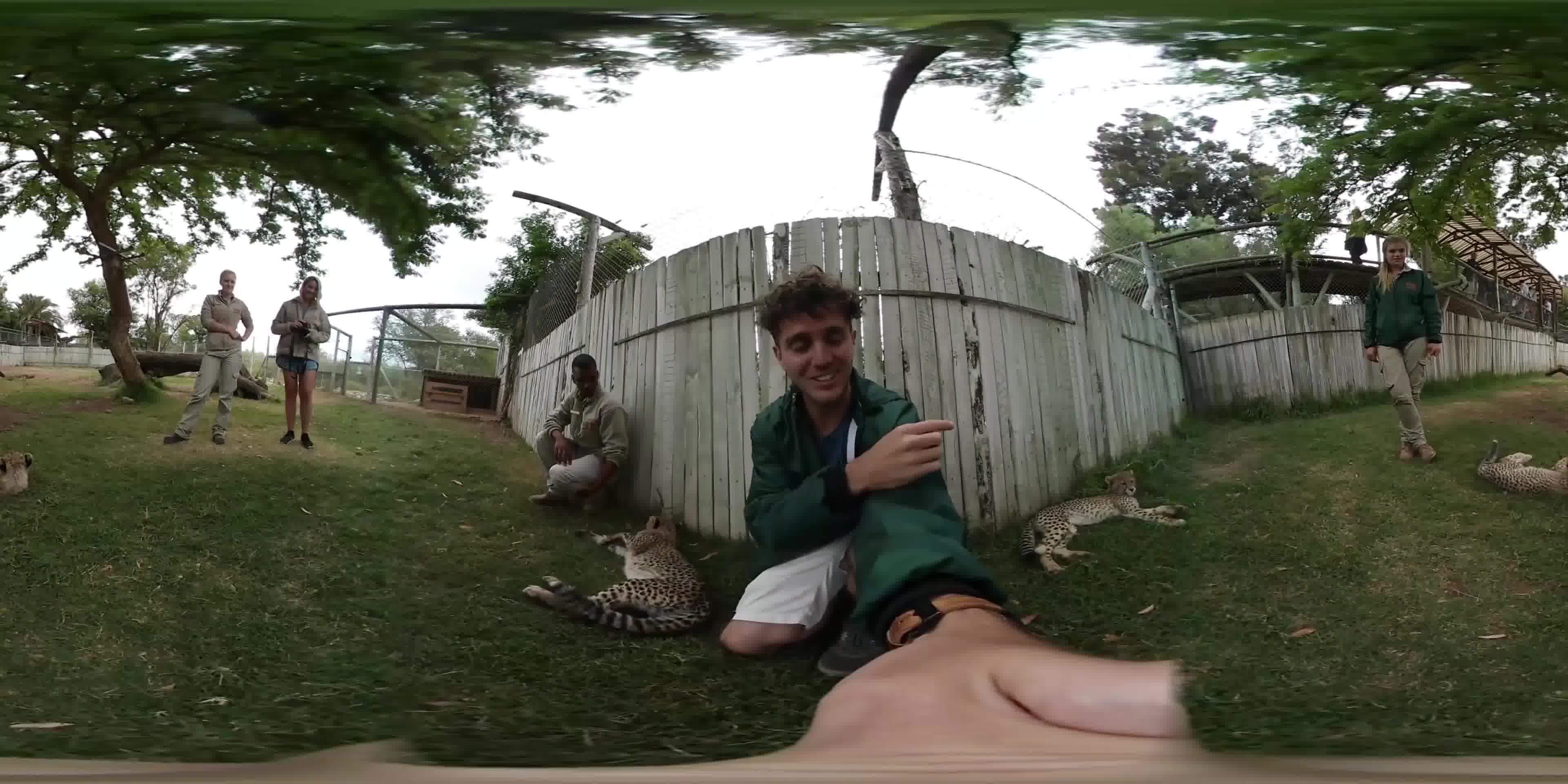 editing Object Detection Dataset by new-workspace-p8t2s