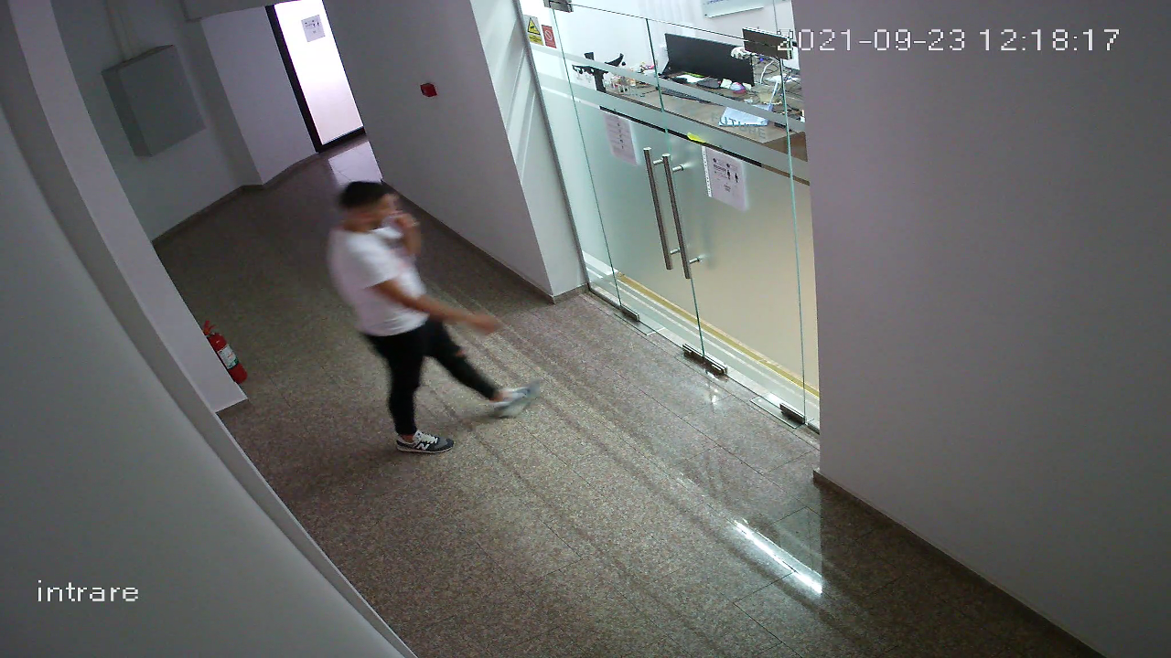 yolo_trainer_1 Object Detection Dataset by Cireasa George