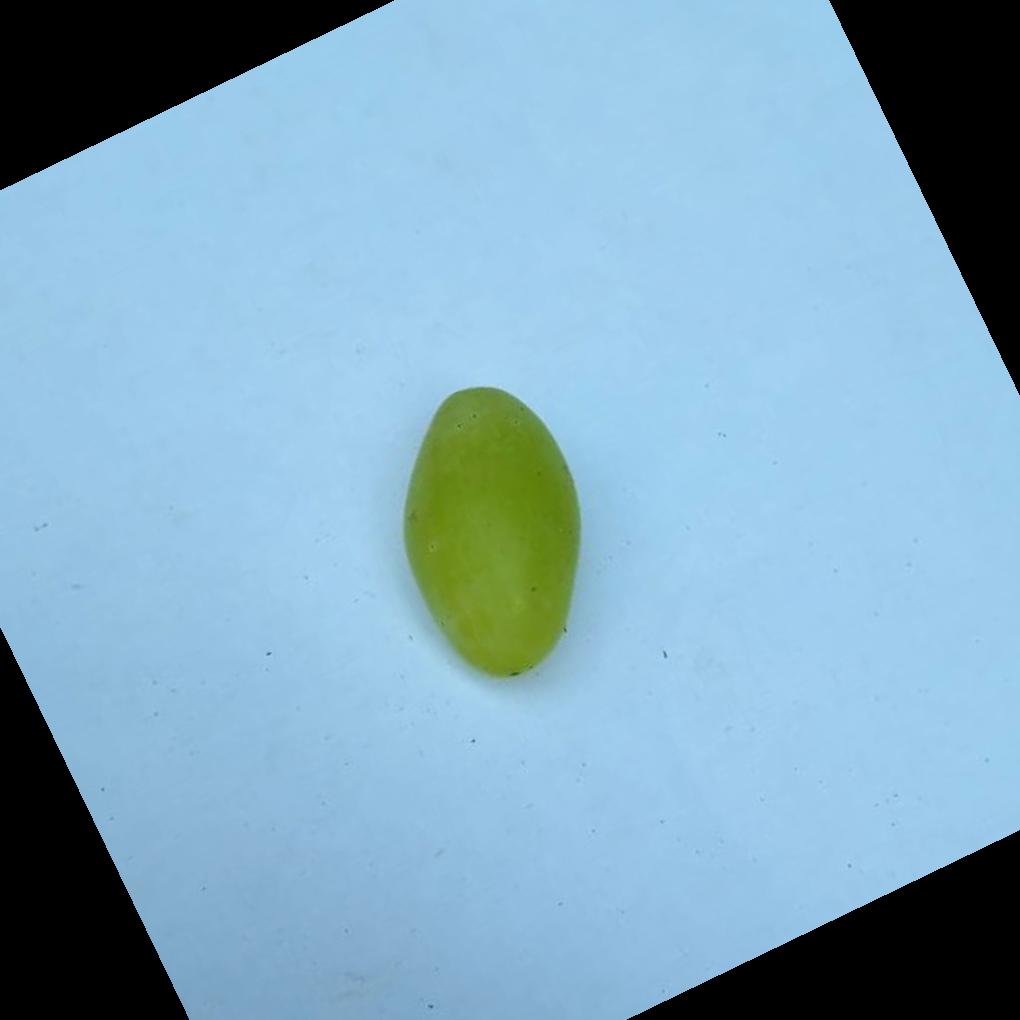 Grapes Object Detection Dataset by GRID