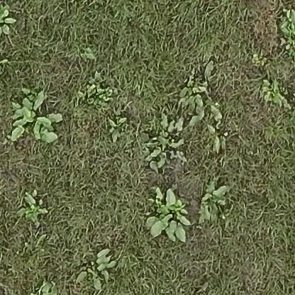 grass-weeds-ru5xu-mutb1-fsod-jvwl Object Detection Dataset by Roboflow 100-VL FSOD