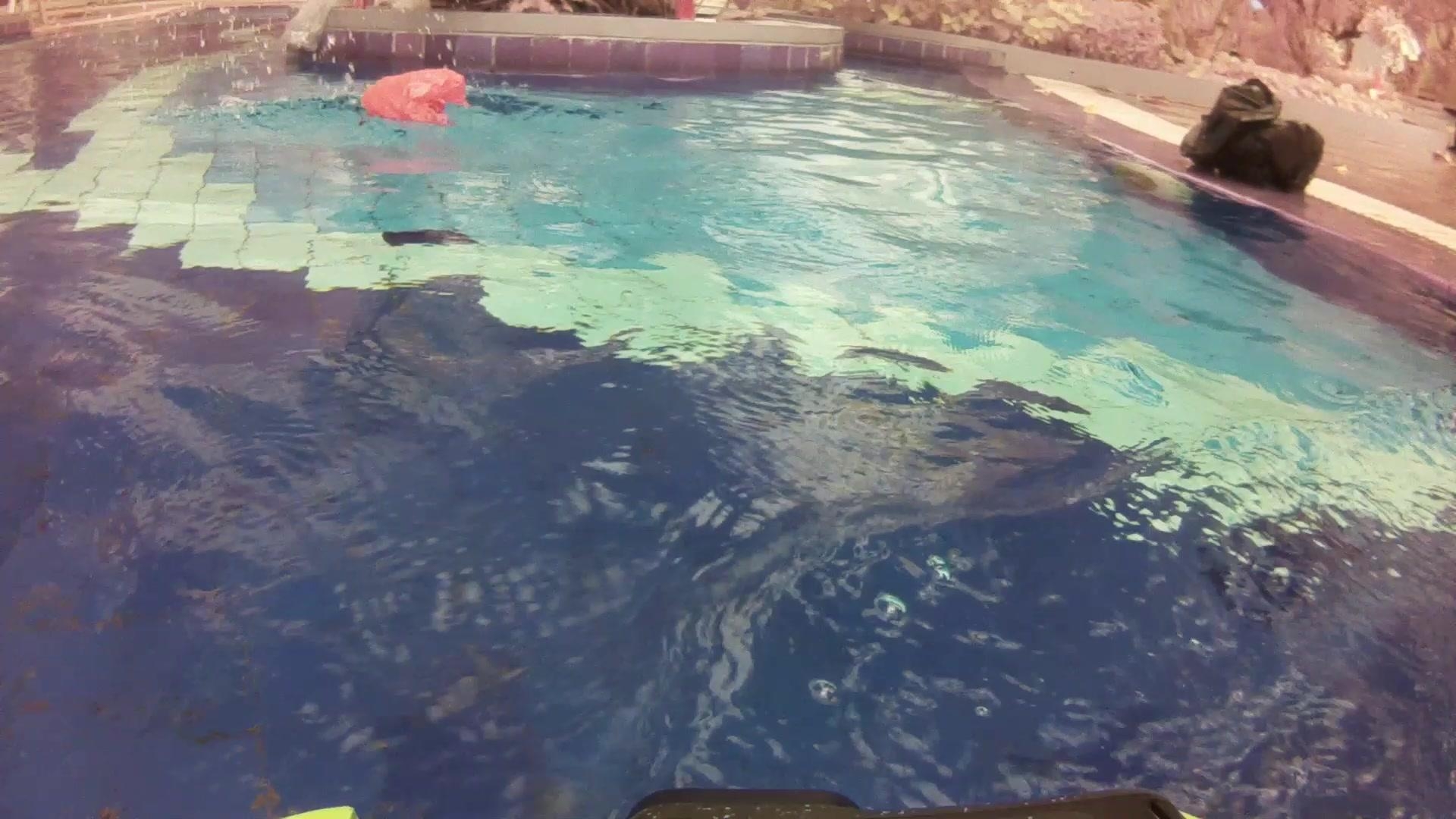 floating-waste-8deje-fsod-lrbq Object Detection Dataset by Roboflow 100-VL FSOD