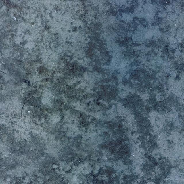 Sea Cucumbers New Tiles Kbu7c Fsod Cegb Object Detection Dataset By Roboflow 100 Vl Fsod