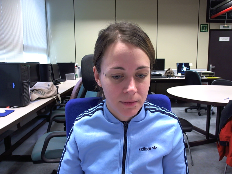 iris segmentation Instance Segmentation Dataset by FRAMES