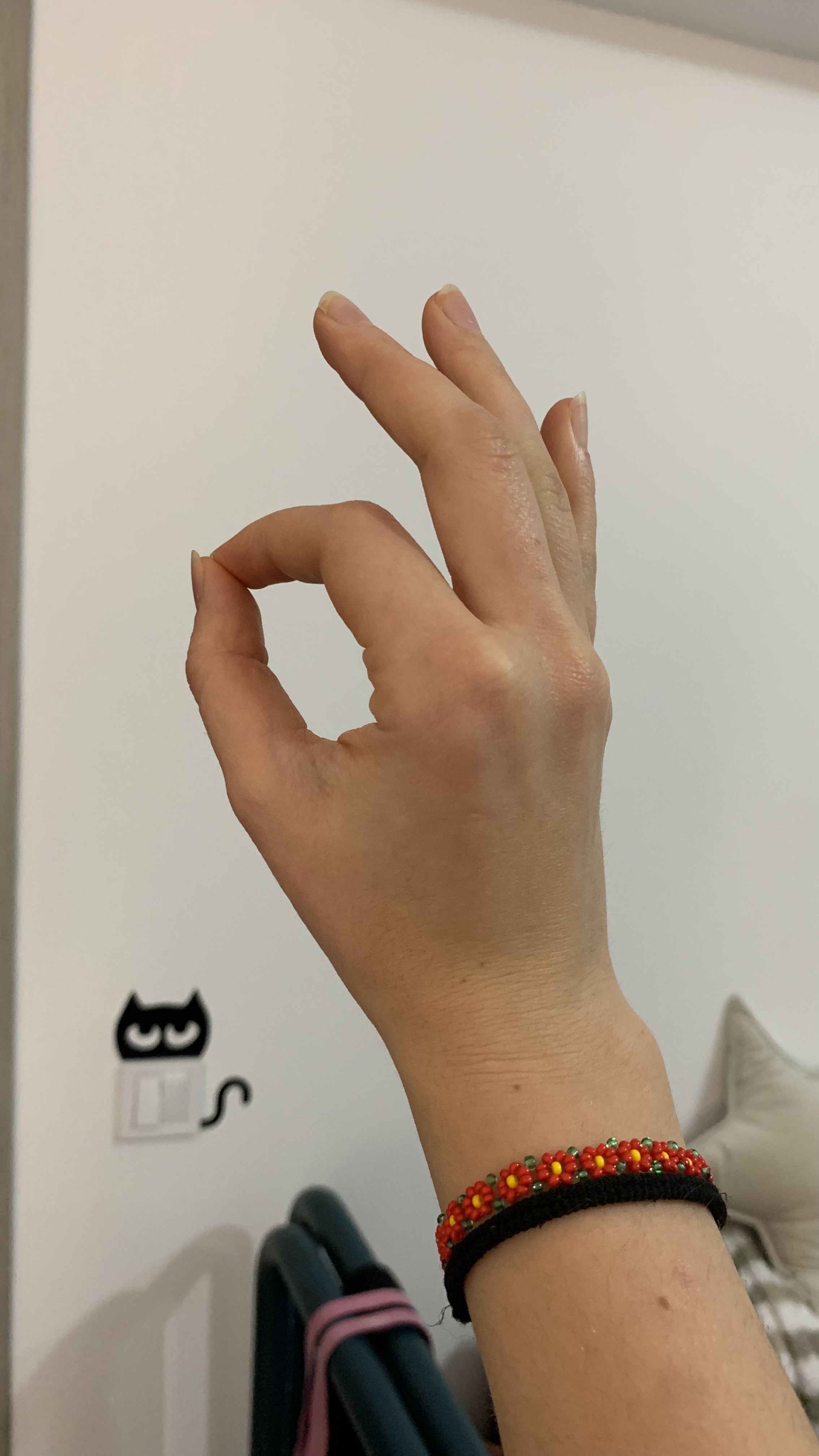 commands Object Detection Dataset and Pre-Trained Model by GestureWizard