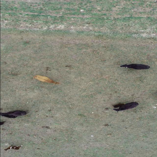 Blesson - Roboflow Universe