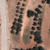 Satellite tree detection - Roboflow Universe