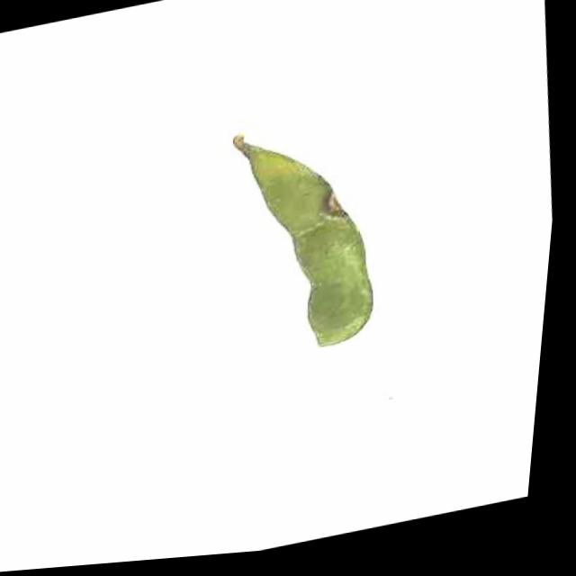 Soybean Object Detection Model By Zyc